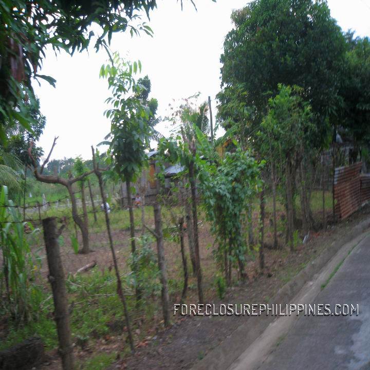 BFS Foreclosed House and Lot at Blk-2 &1, Lot-1&19, Sta. Maria St ...