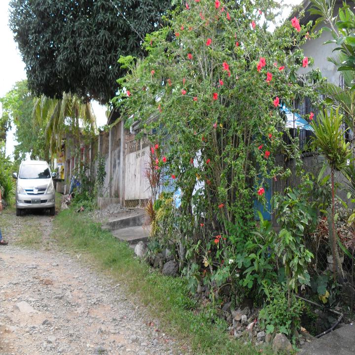 BFS Foreclosed House and Lot at Blk-19, Lot-7, SUNRISE VILLAGE SUBD ...